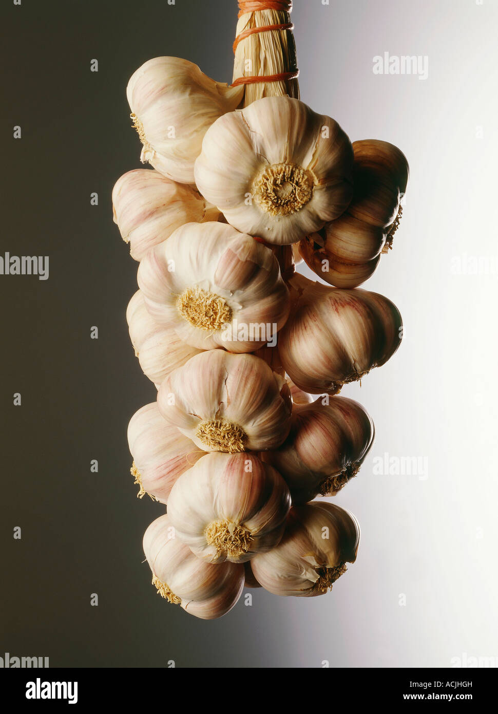 Garlic woven grey background Stock Photo - Alamy