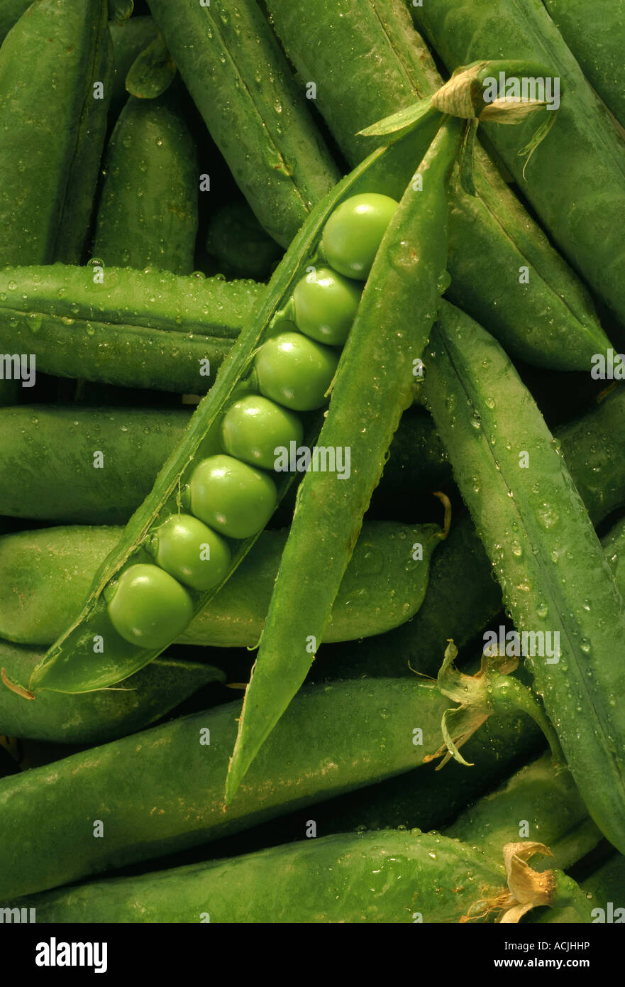 Green peas with their shells Stock Photo - Alamy
