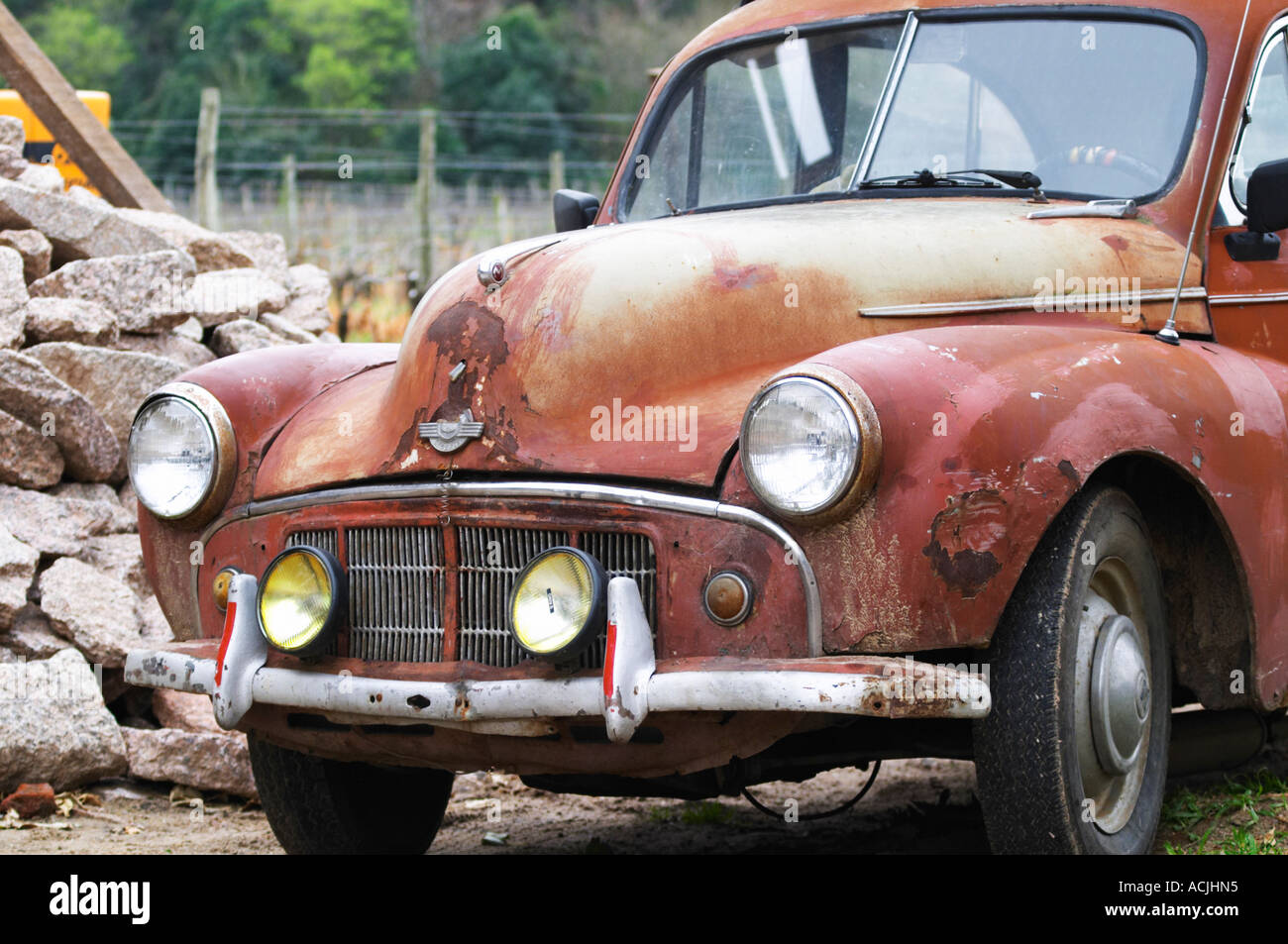 an old rusty red collectors car Morris Minor from the 1950s 50s Bodega ...
