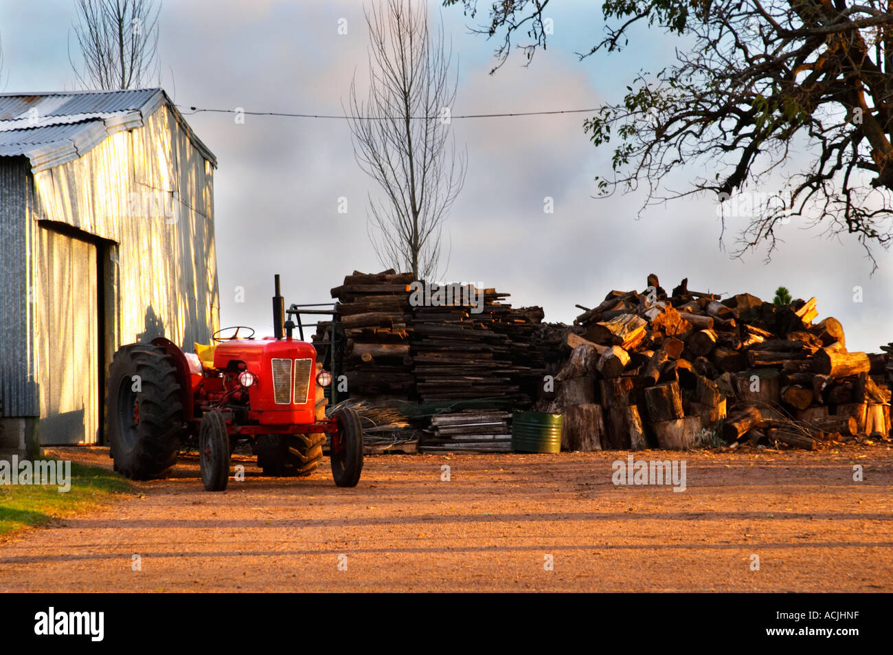 A farm with an old red tractor and big piles of fire wood to be chopped ...