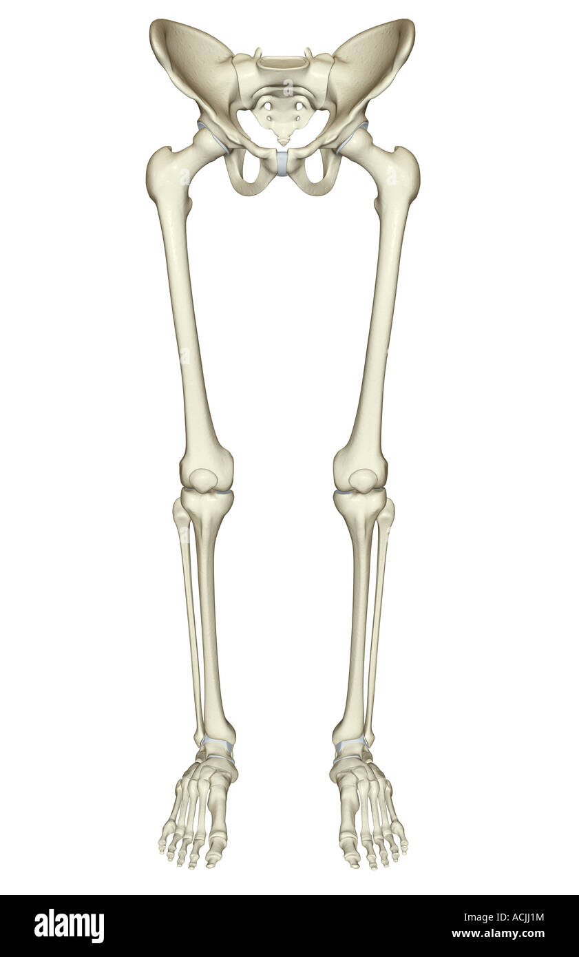 Lower structure Cut Out Stock Images & Pictures - Alamy