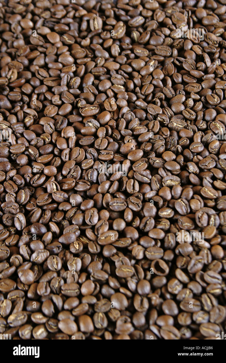 Light roast coffee beans texture image Stock Photo - Alamy