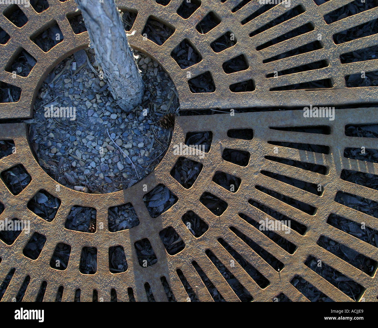 A metal tree grate detail image Stock Photo - Alamy