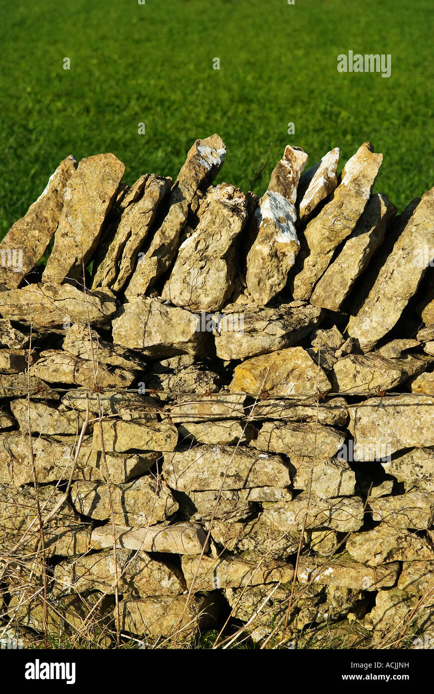 pic martin phelps 25 01 07 Stock Photo - Alamy