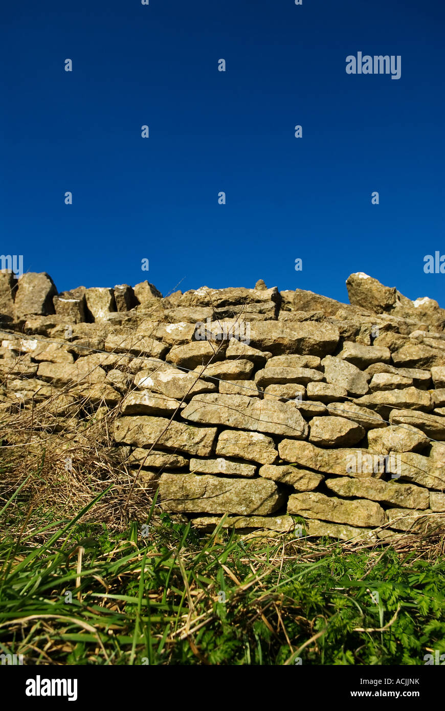 pic martin phelps 25 01 07 Stock Photo - Alamy