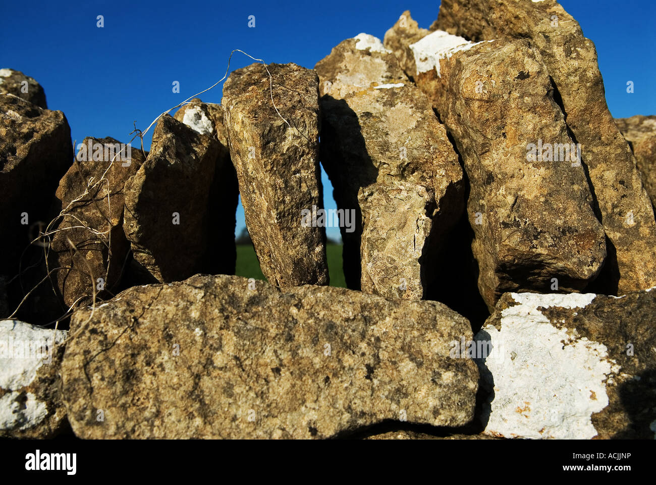 pic martin phelps 25 01 07 Stock Photo - Alamy