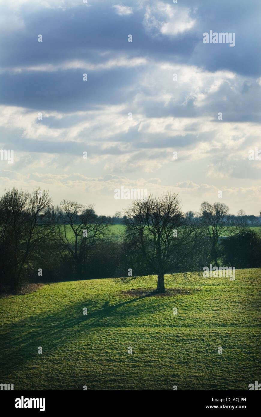 pic martin phelps 25 01 07 Stock Photo - Alamy