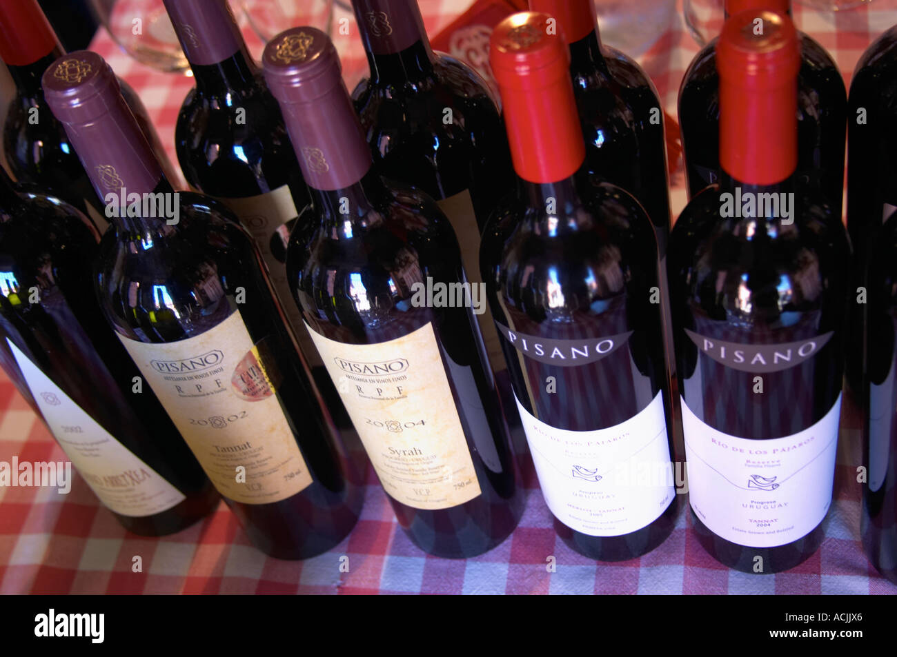 Several different bottles of Pisano wines on the tasting table. Bodega ...