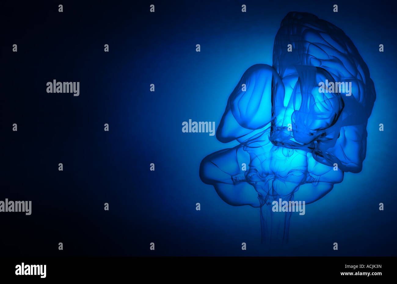 Stylised brain hi-res stock photography and images - Alamy