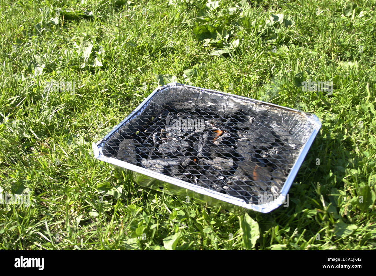 Disposable Bar B Q Stock Photo - Alamy