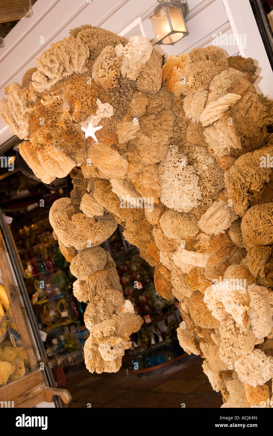 Sponge Monster at Key West FL, Florida Keys Stock Photo - Alamy
