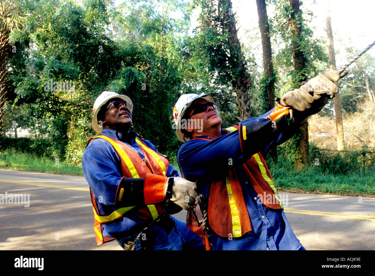 Lineman repairing hurricane damage in Florida in 2004 Stock Photo - Alamy