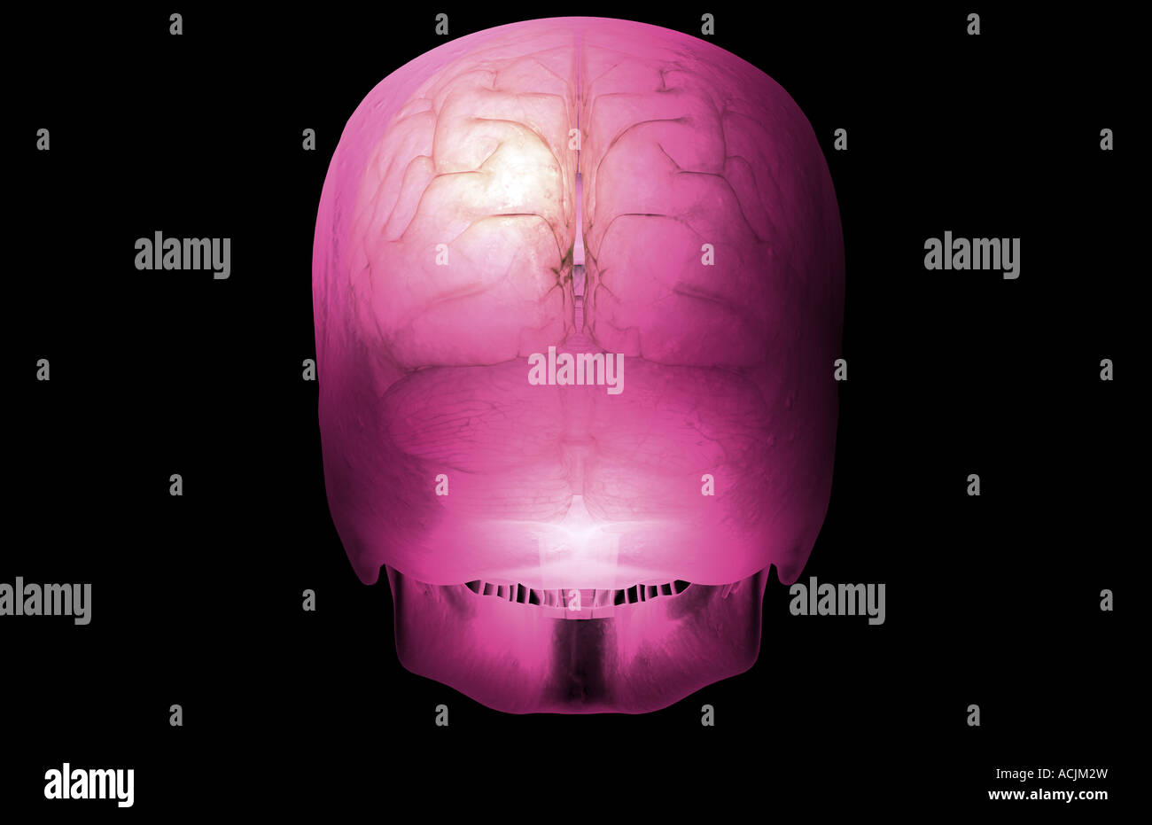 Stylised Brain High Resolution Stock Photography and Images - Alamy