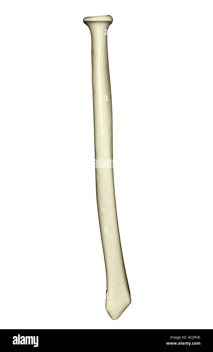 Radius Cut Out Stock Images & Pictures - Alamy