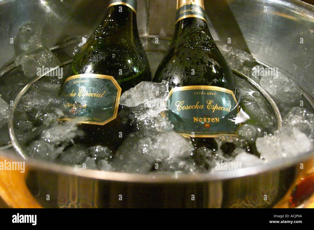 An ice bucket with ice and water and two bottles of sparkling champagne ...