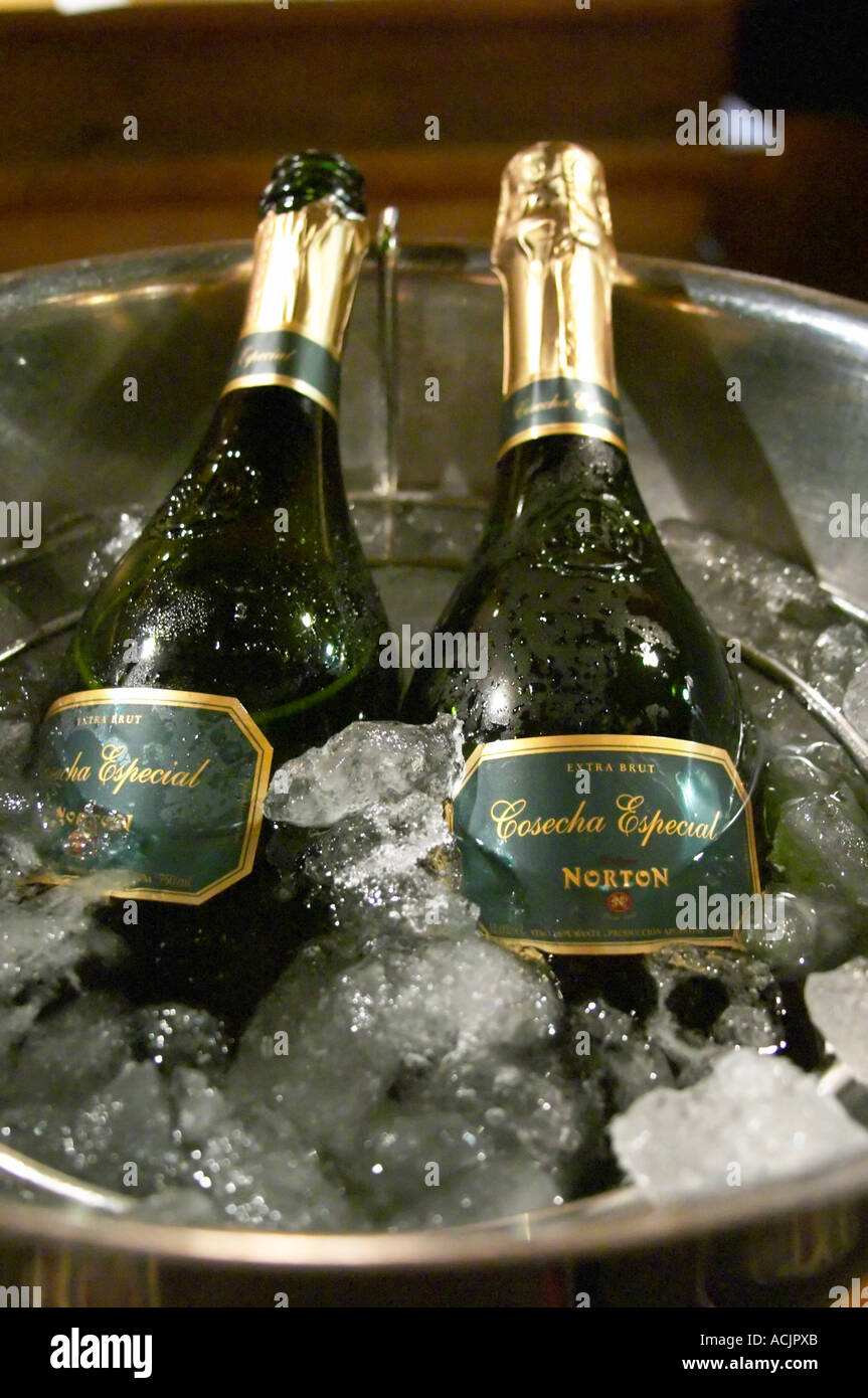 An ice bucket with ice and water and two bottles of sparkling champagne ...