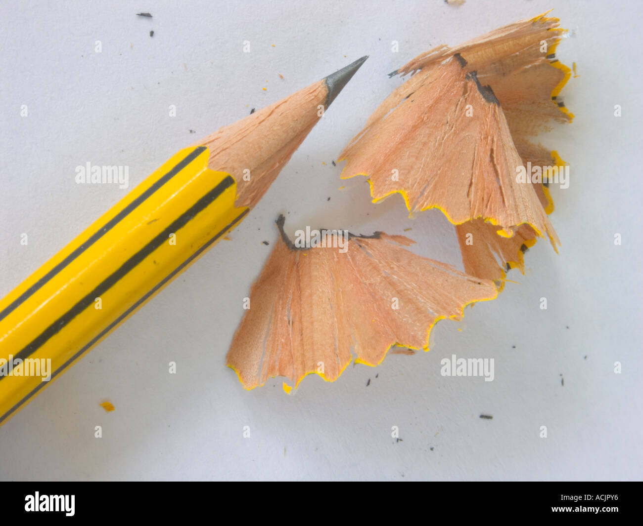A newly sharpened pencil with the shavings Stock Photo - Alamy