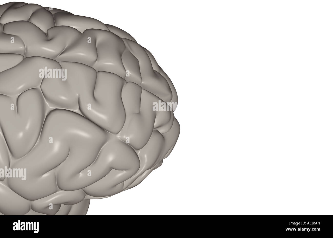 Frontal lobe hi-res stock photography and images - Alamy