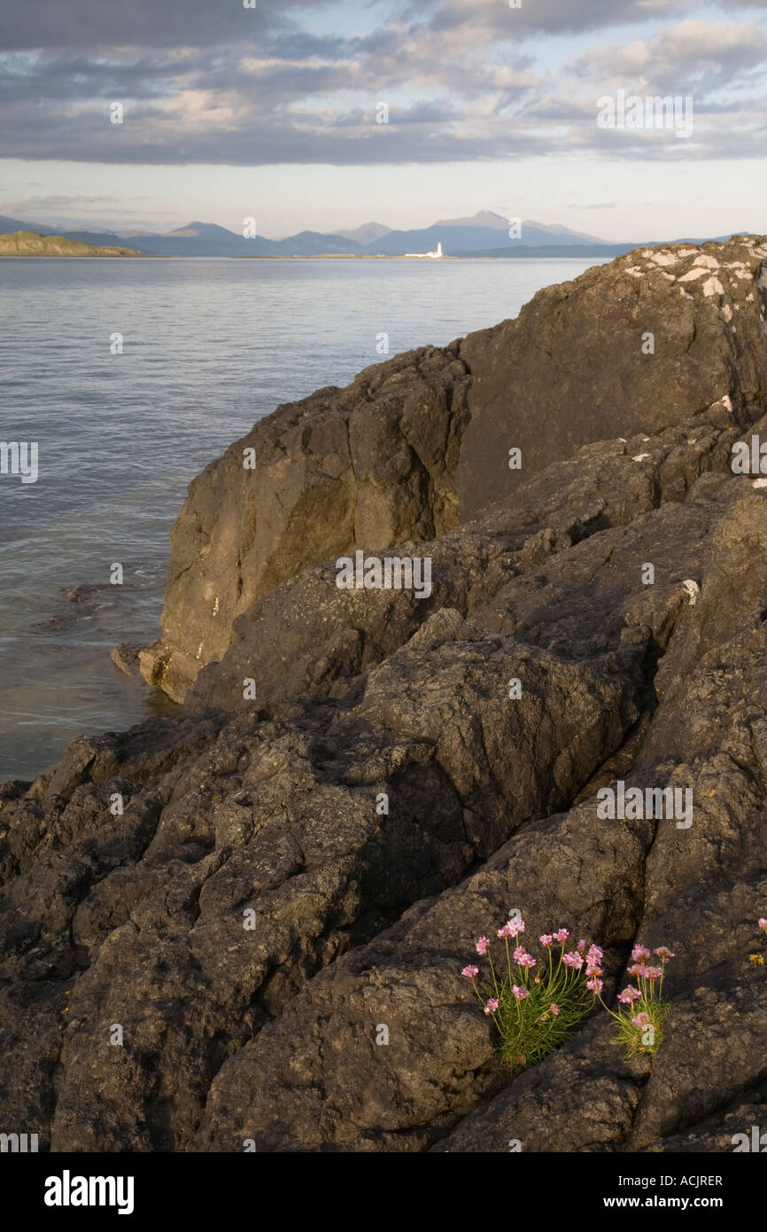 Coastal view, Sound of Mull, Isle of Mull, Scotland, UK Stock Photo - Alamy