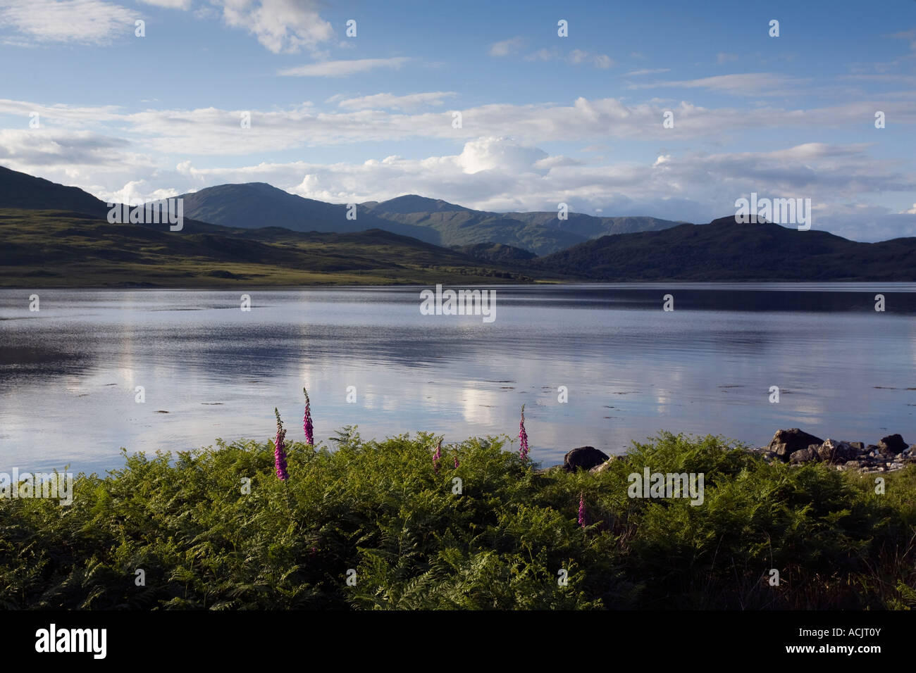 View across Loch Spelve, Isle of Mull, Argyll, Scotland, UK Stock Photo ...
