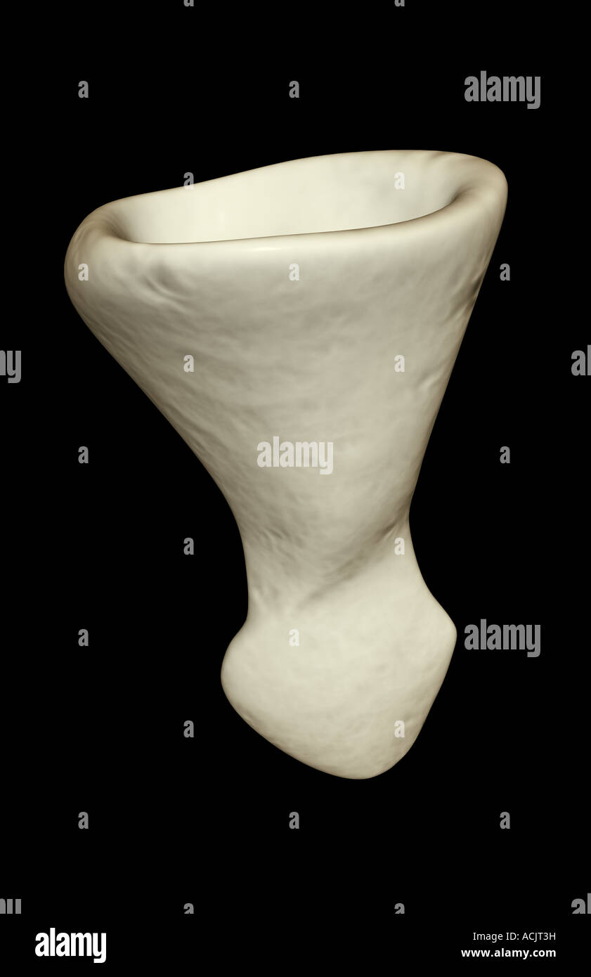 The bones of the finger Stock Photo - Alamy