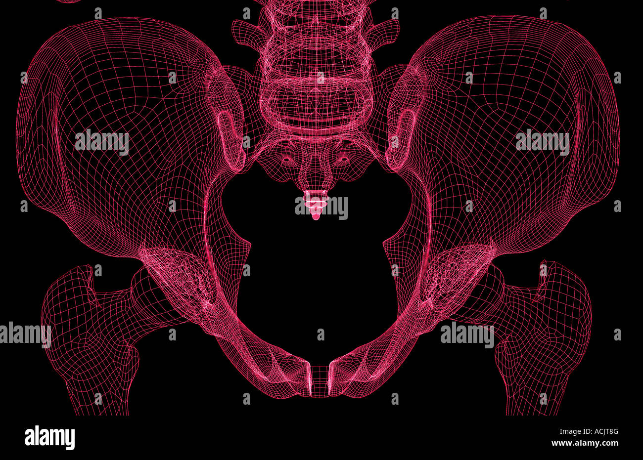 Pubic Bone High Resolution Stock Photography and Images - Alamy