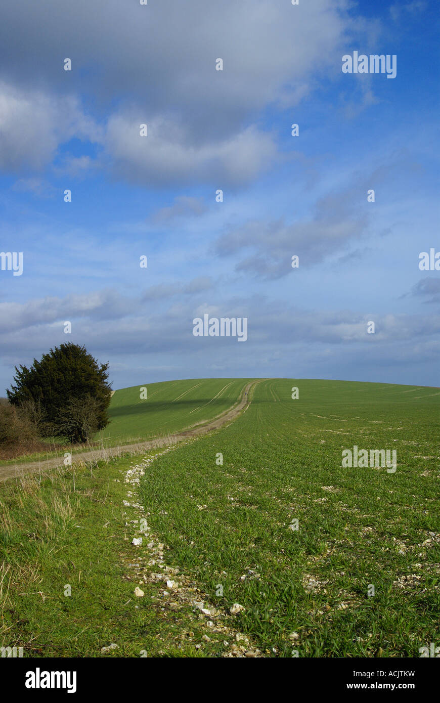 Bignor Hill South Downs England UK Stock Photo - Alamy