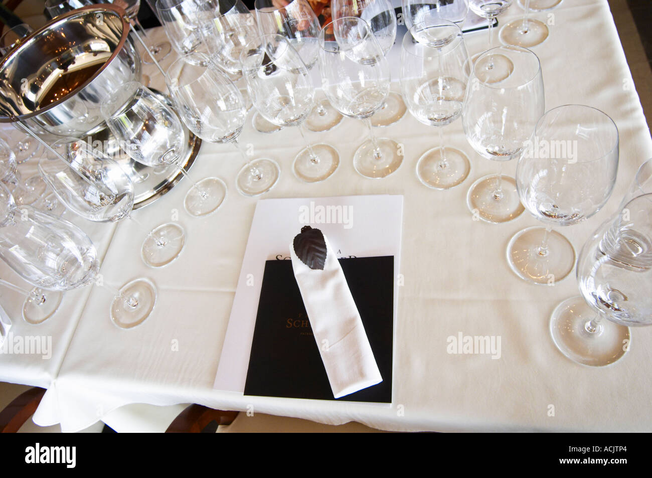 Table set for lunch and a big wine tasting, with many wine tasting ...