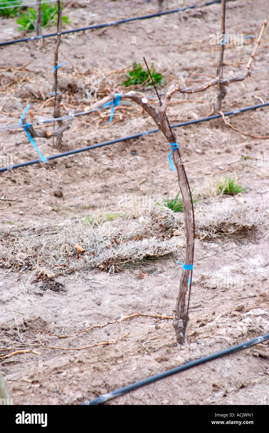 Cordon De Royat High Resolution Stock Photography and Images - Alamy