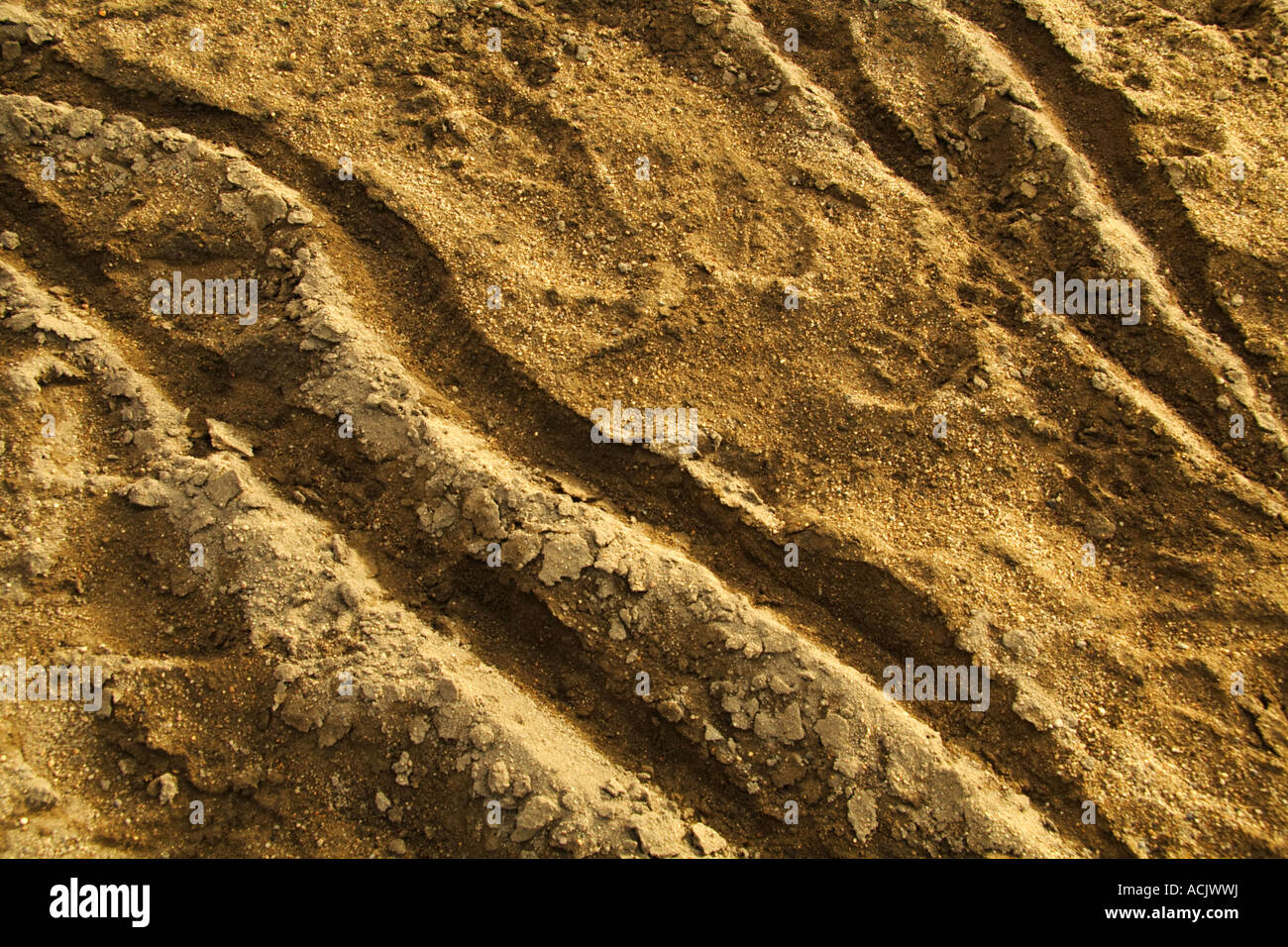 Wheel marks in frozen sand Stock Photo - Alamy