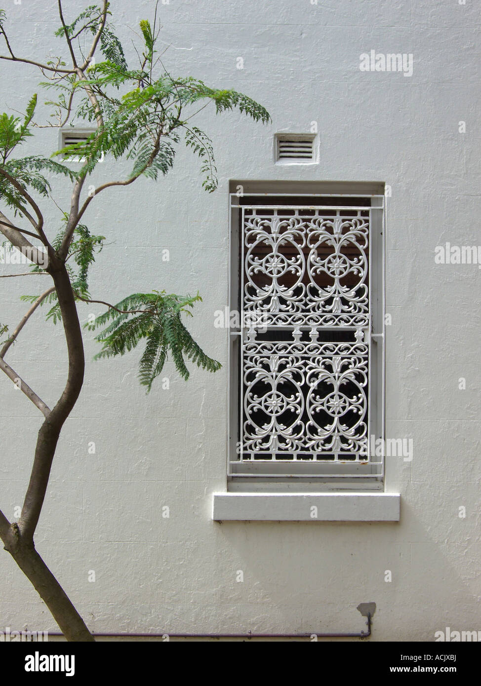 window and tree on Australian house Stock Photo - Alamy
