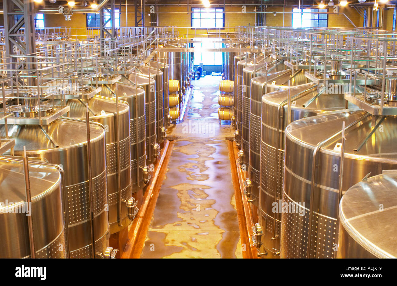 The gigantic vat hall with stainless steel fermentation tanks Bodega ...