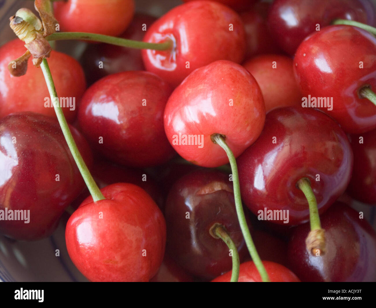 cherry fruit texture on a white background texture Stock Photo - Alamy