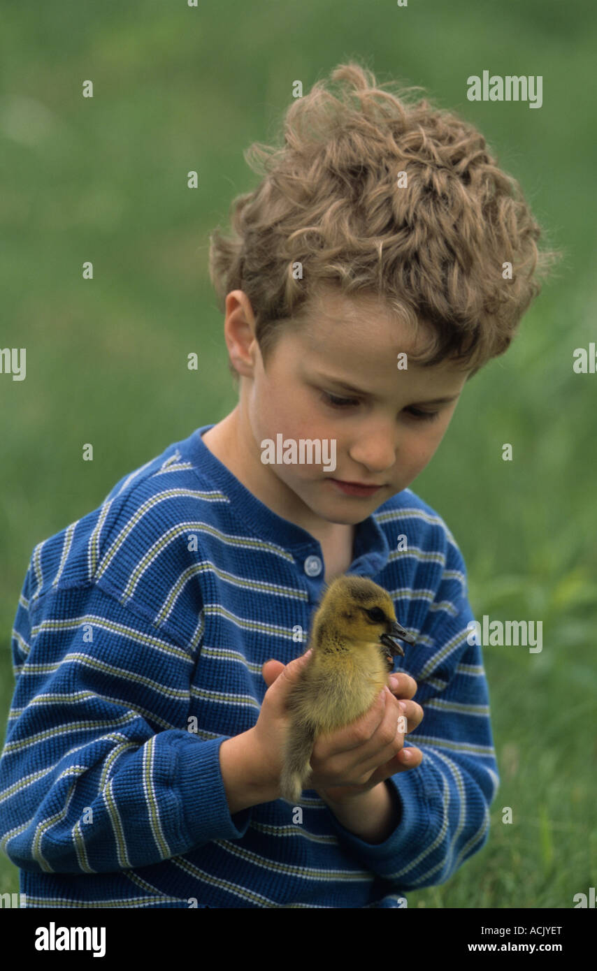 Human bird interactions hi-res stock photography and images - Alamy