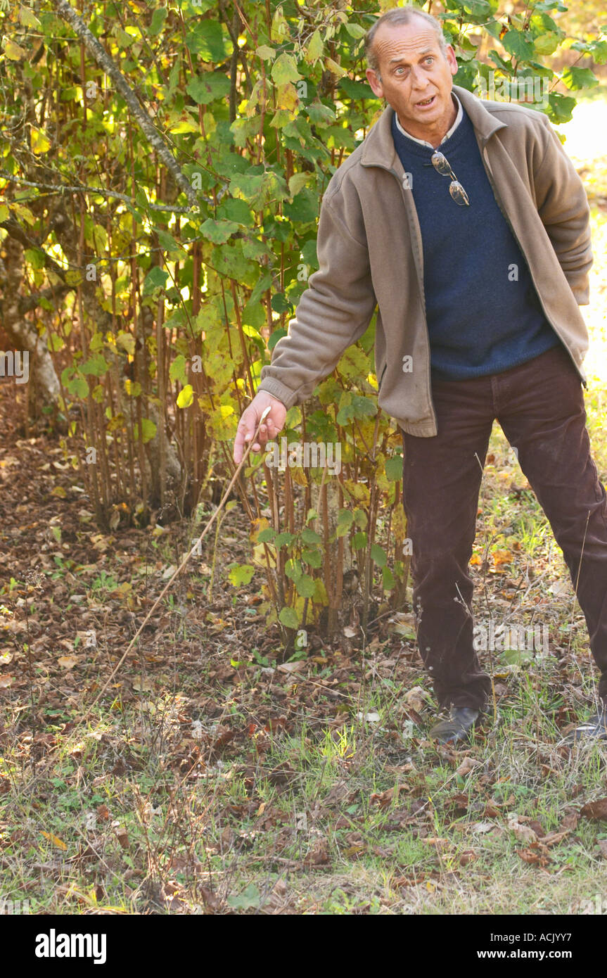 Hugues Martin, the owner of the truffles farm showing how you use a ...