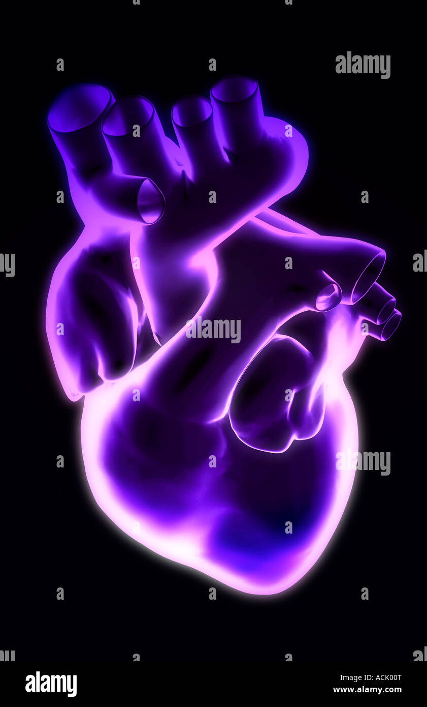 Human heart anatomy side view hi-res stock photography and images - Alamy