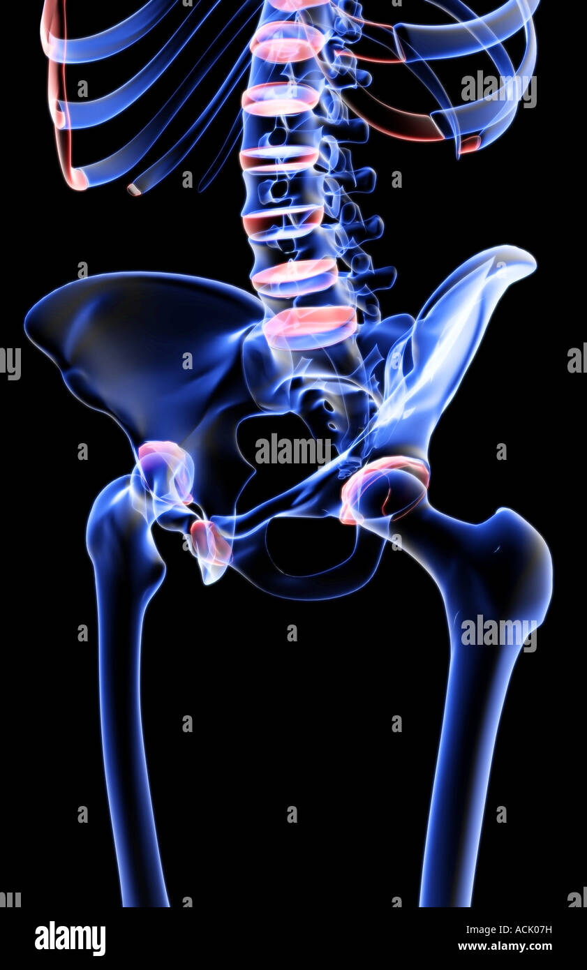 Front and side view of pelvis of hi-res stock photography and images ...