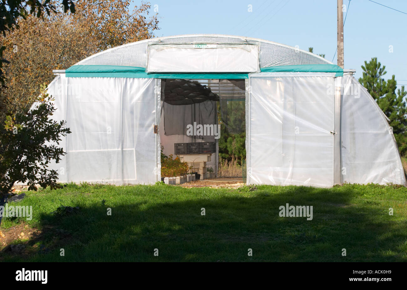 The nursery with new truffle plantations tree plants Truffiere de la ...