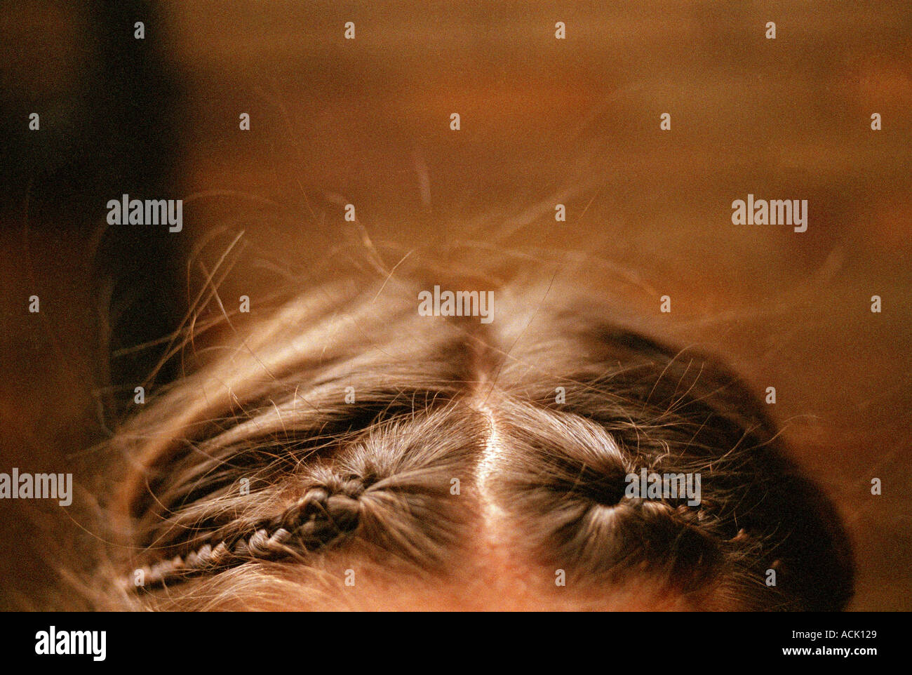 Braids in a young woman s hair Stock Photo - Alamy