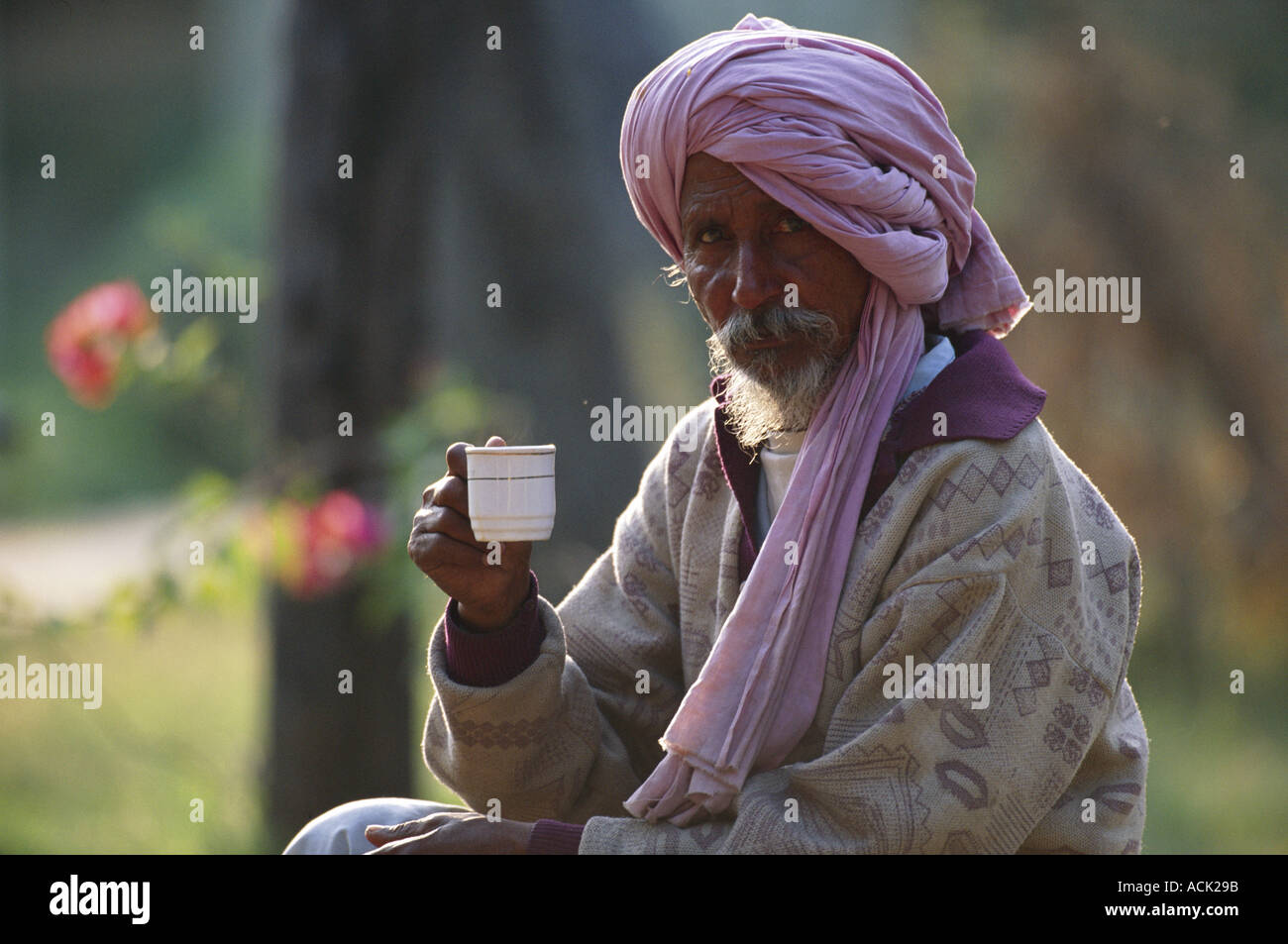 Indian man drinking chai tea hi-res stock photography and images - Alamy