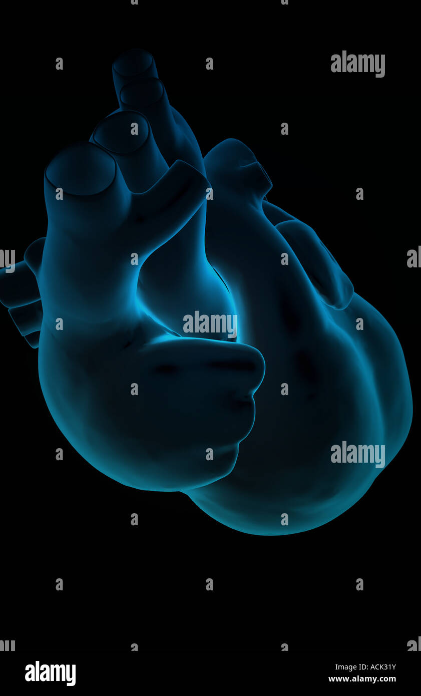 Right Atrium High Resolution Stock Photography and Images - Alamy