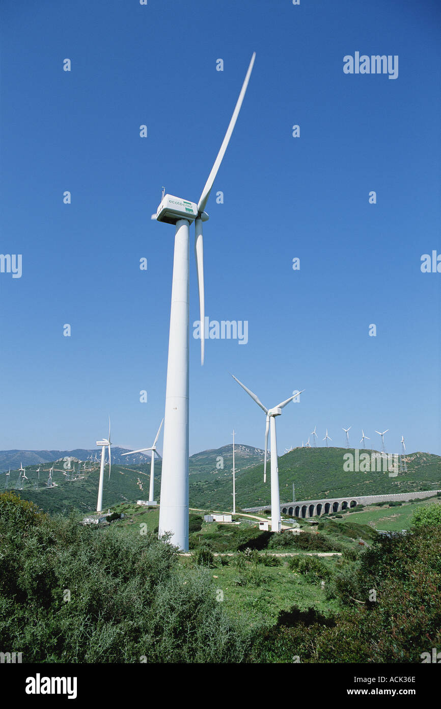 Wind powered electricity generating turbines in landscape Tarifa Cadiz ...