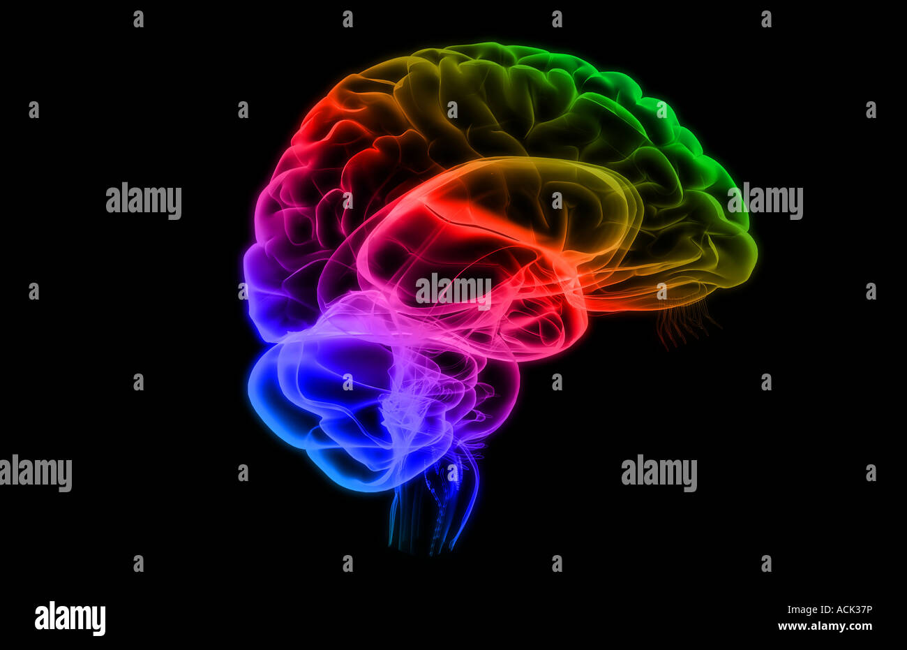 Stylised brain hi-res stock photography and images - Alamy