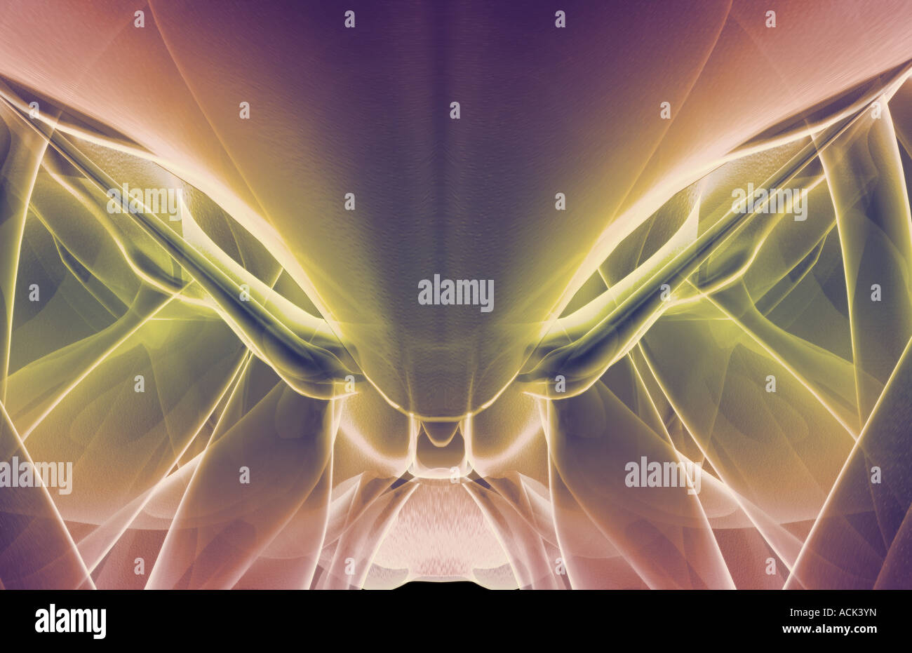 The muscles of the pelvis Stock Photo - Alamy