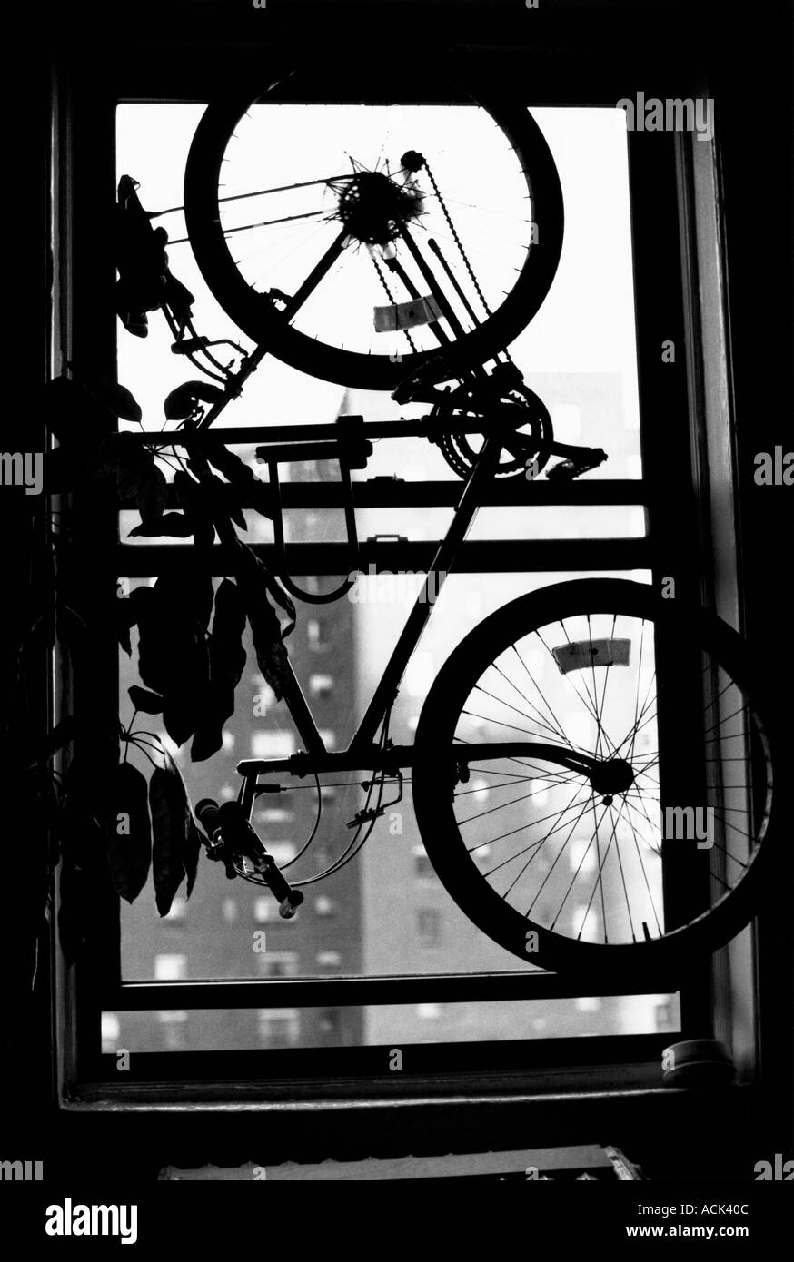 A bicycle hanging in a window Stock Photo - Alamy