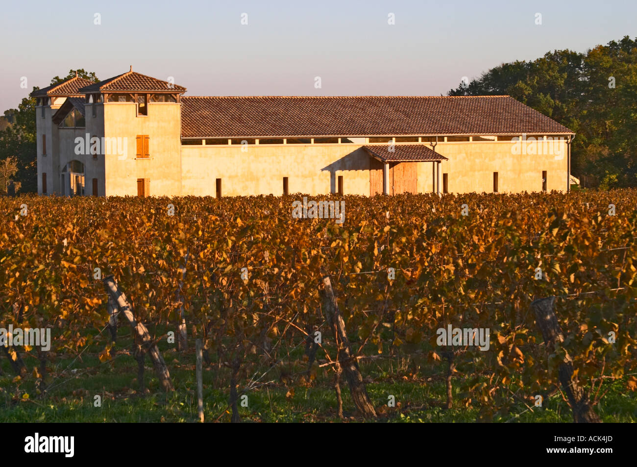 The newly constructed winery building seen over the green yellow golden ...