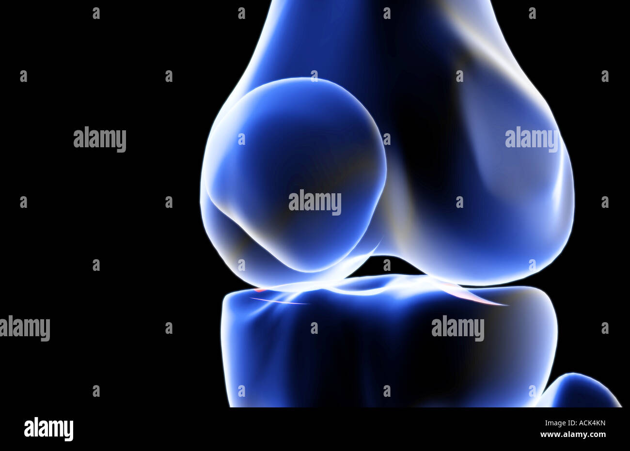 The bones of the knee Stock Photo - Alamy