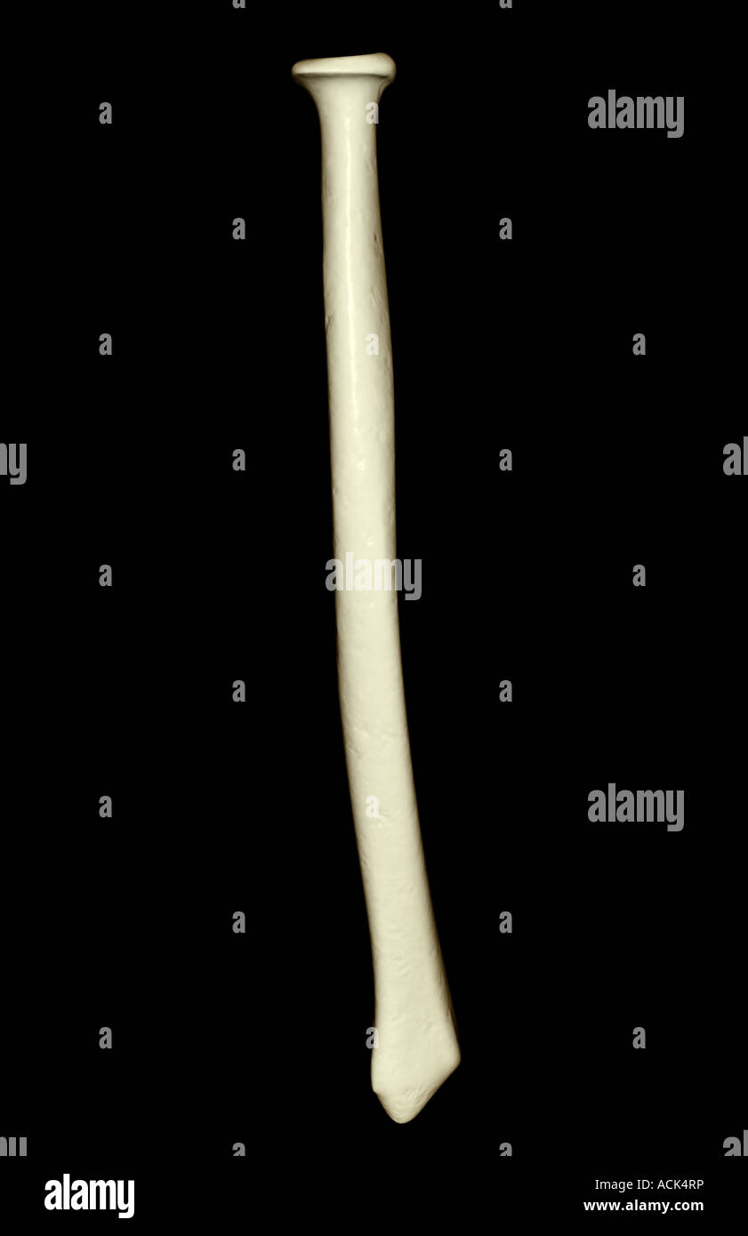 Radius Stock Photos & Radius Stock Images - Alamy