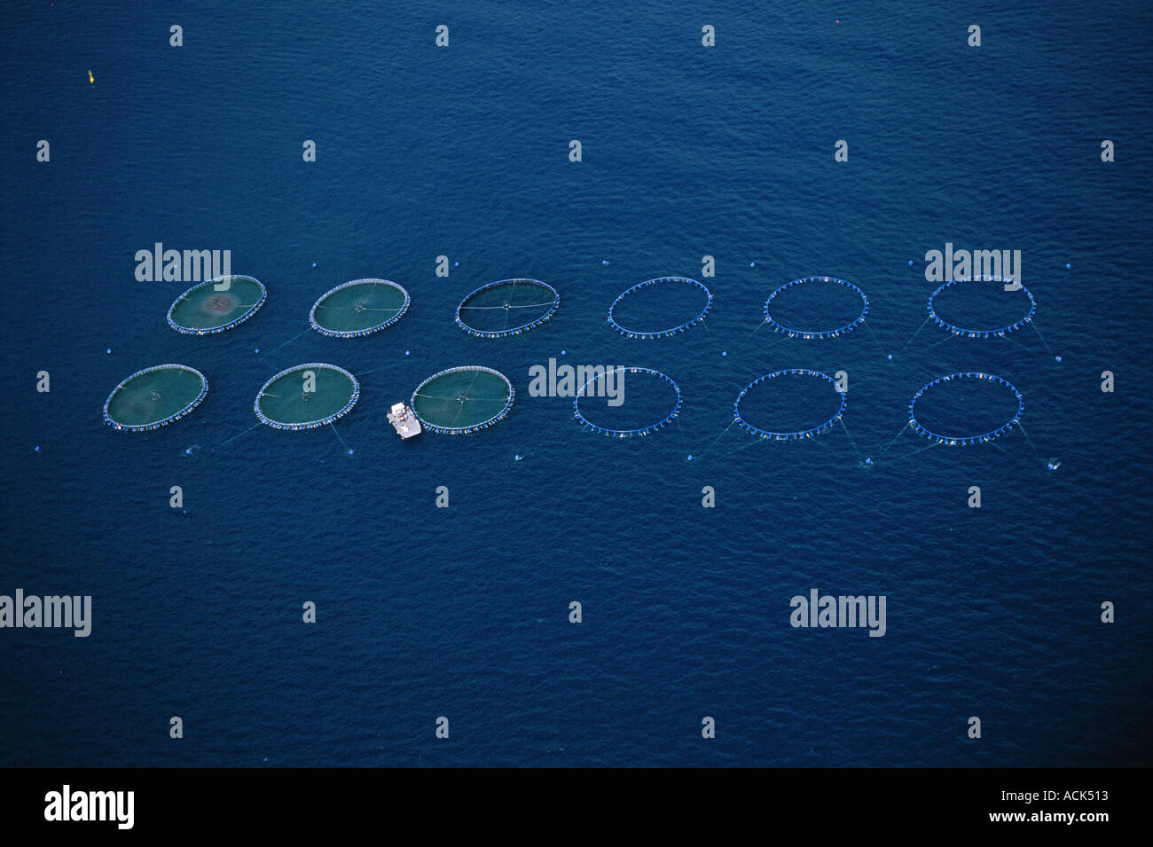 Aerial view of aquatic farming hi-res stock photography and images - Alamy