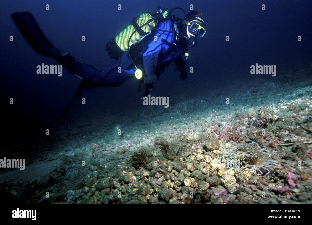 Diver swimming over seabed of broken shells and pebbles Mediterranean ...